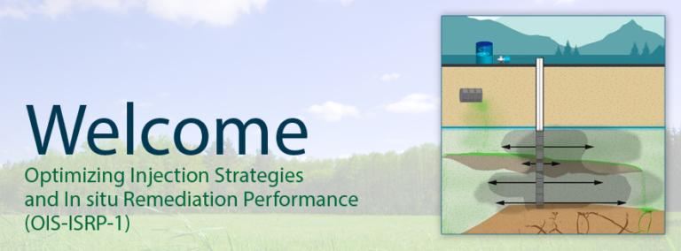 Optimizing Injection Strategies and In situ Remediation Performance